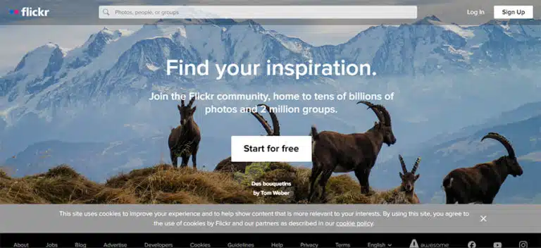 25 Best YouTube Alternatives and Video Sites (2025)